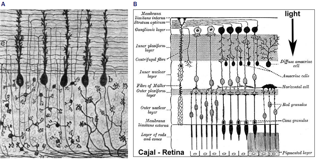 1 Deep Learning and JavaScript · Deep Learning with JavaScript: Neural ...