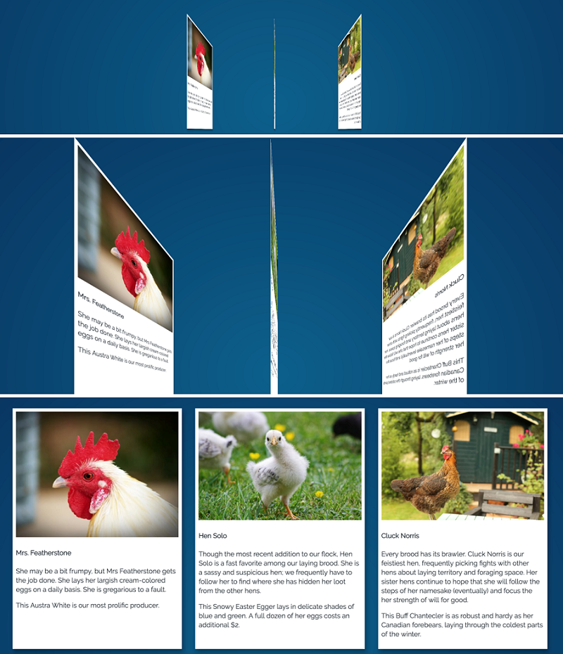 16 Animations · CSS in Depth