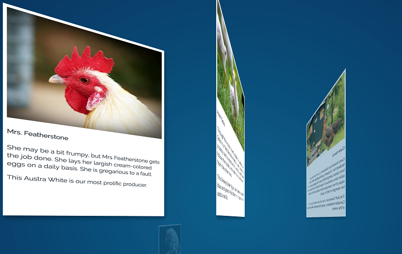 16 Animations · CSS in Depth