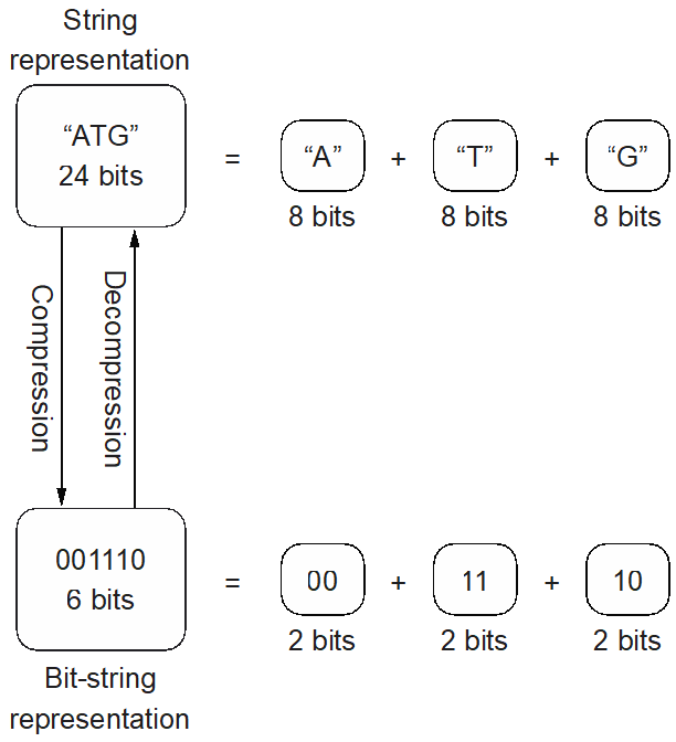 1 Small problems · Classic Computer Science Problems in Python