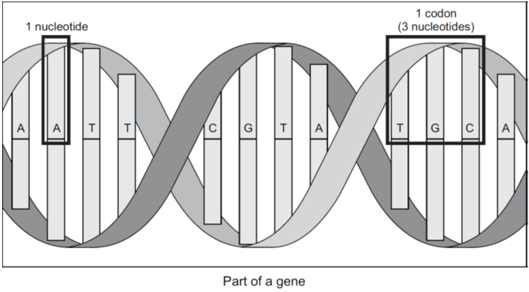 2 Search problems · Classic Computer Science Problems in Python