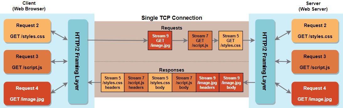 4 HTTP/2 Protocol Basics · HTTP/2 in Action