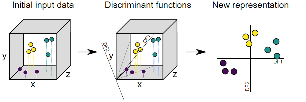 Discriminante New Discriminant Function Based Multidimensional