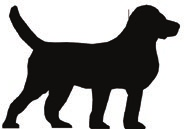 8 Learning Signal and Ignoring Noise: Introduction to Regularization & Batching · Grokking Deep ...